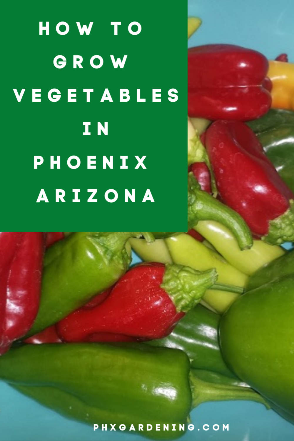 How to Grow Vegetables in Phoenix Arizona - Phoenix Gardening